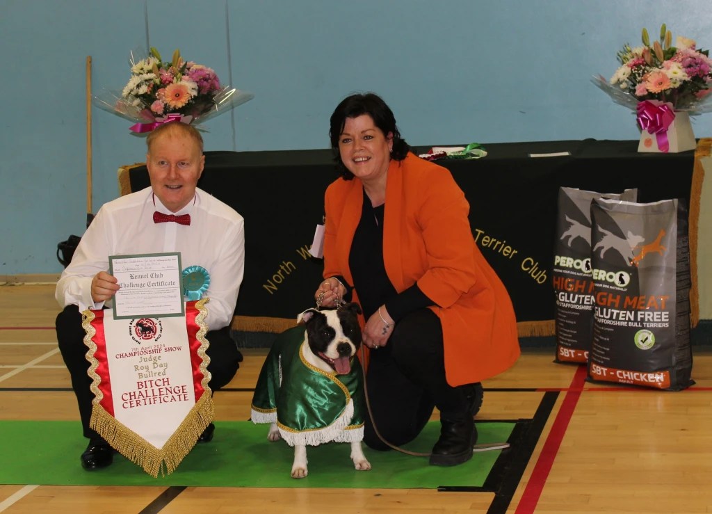 North West Staffordshire Bull Terrier Club – Established 1946